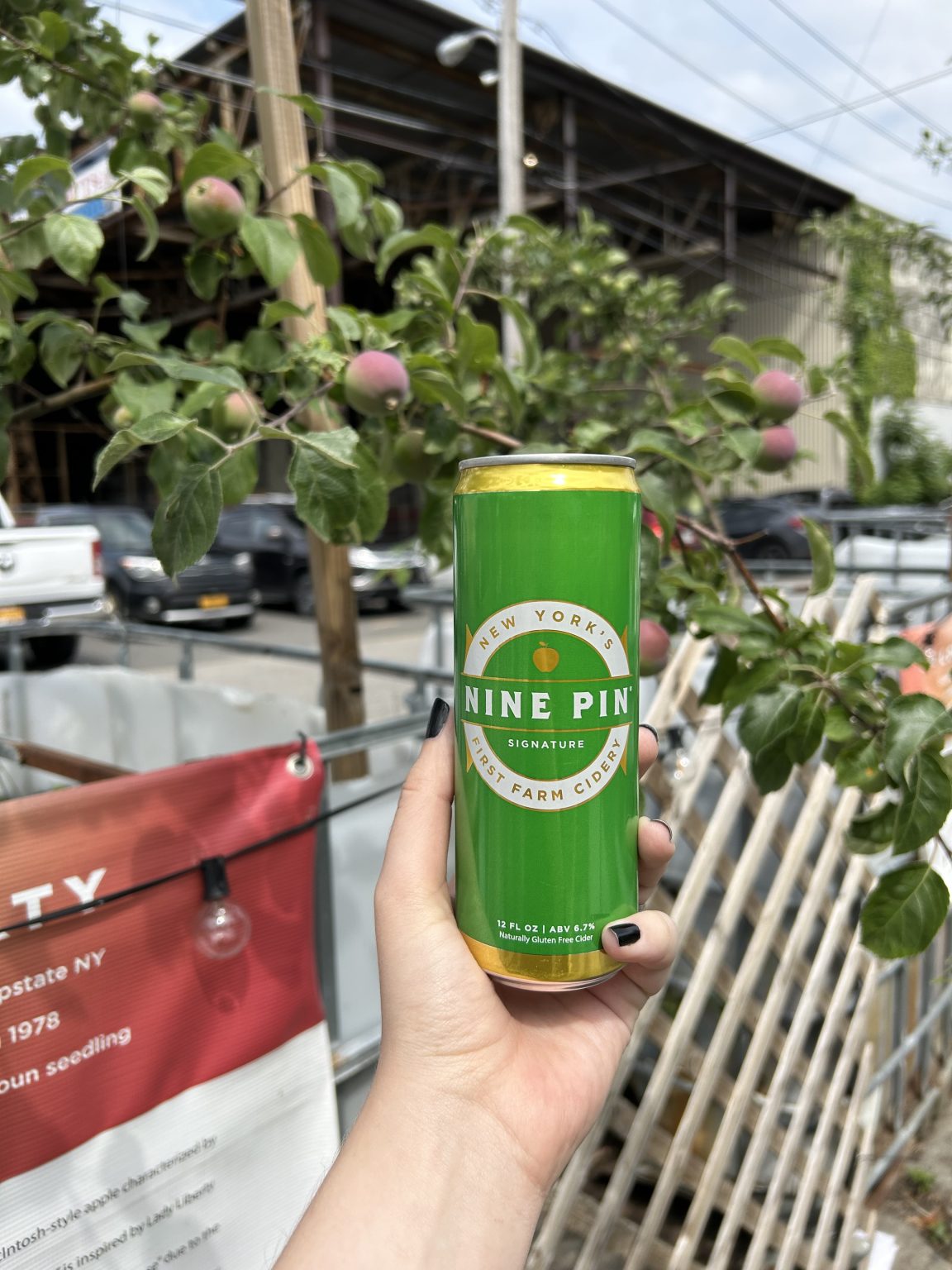 Signature - Nine Pin Cider New York's First Farm Cidery