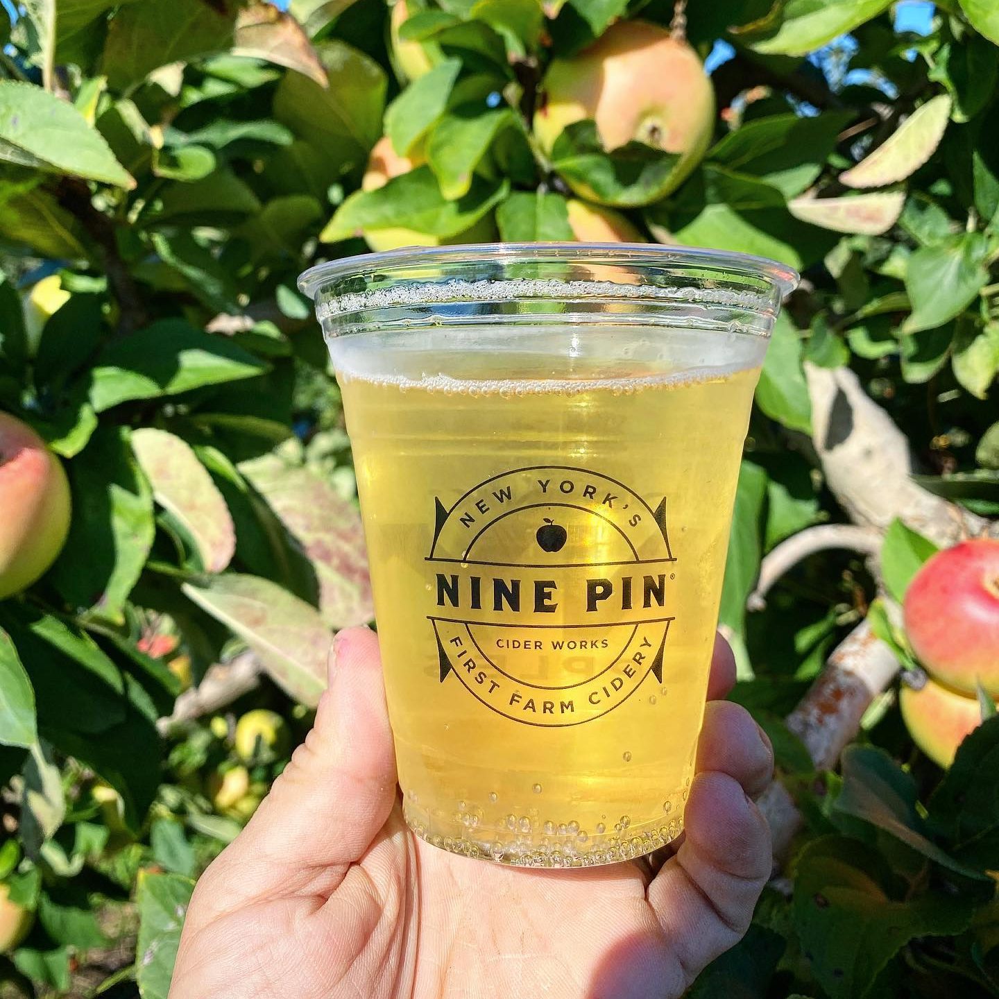 Visit - Nine Pin Cider New York's First Farm Cidery